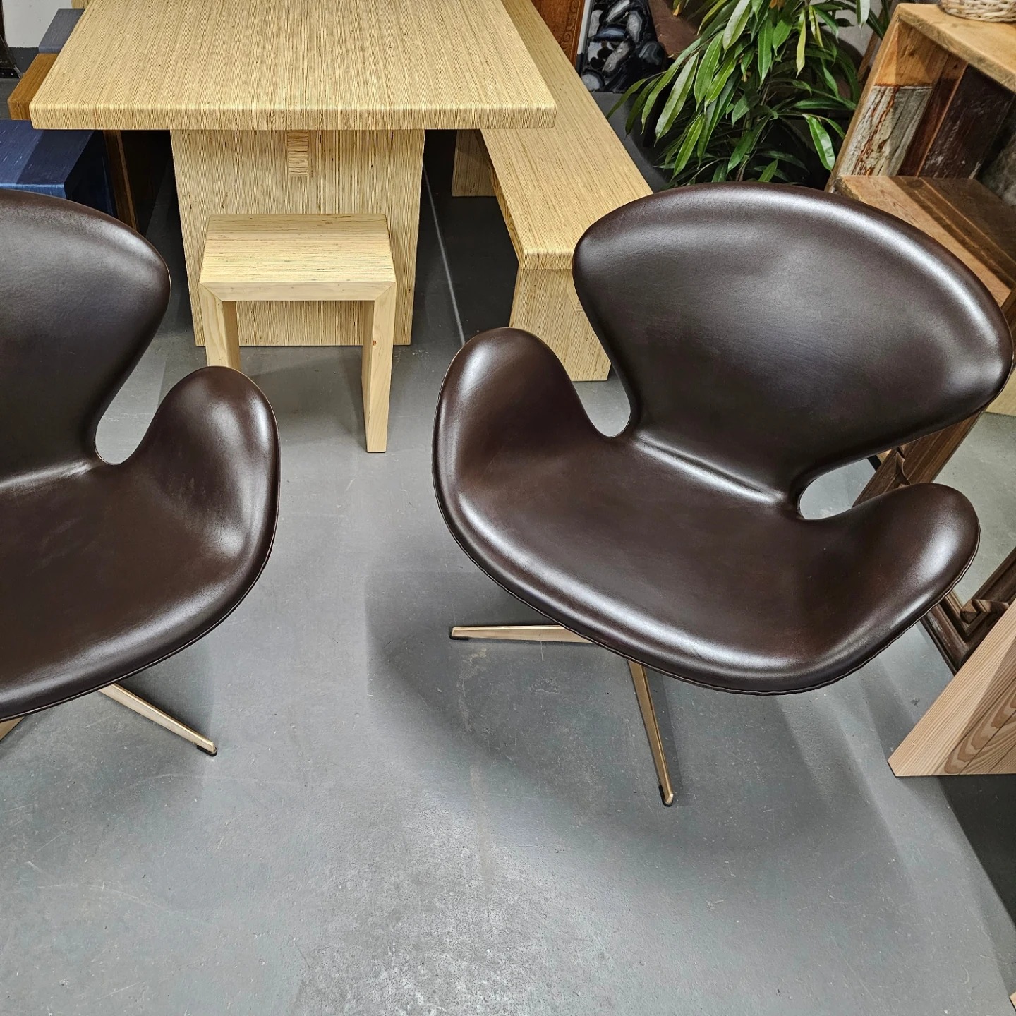 Den grimme ælling blev til en smuk svane igen - Loudliving